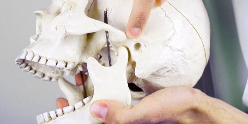 Things You Need to Know About Gnathology - DENTAL VIP Posts